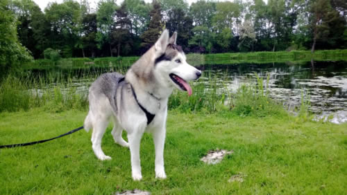 ภาพตัวอย่างที่ถ่ายด้วย Nokia Lumia 925 - Siamphone.com